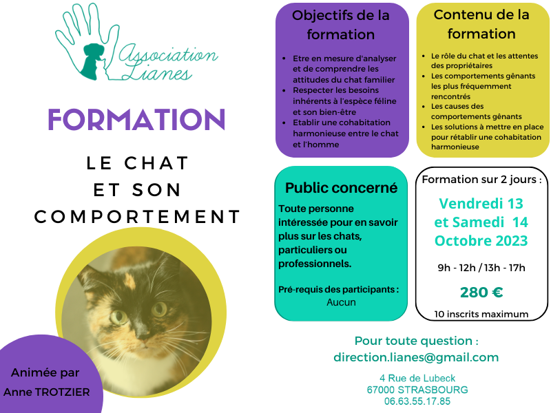 Formation - Association Lianes